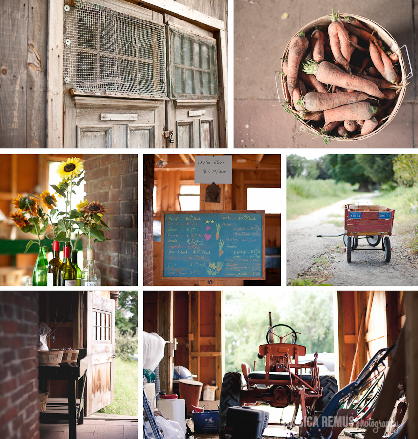 The cutest little farm » Jessica Remus Photography